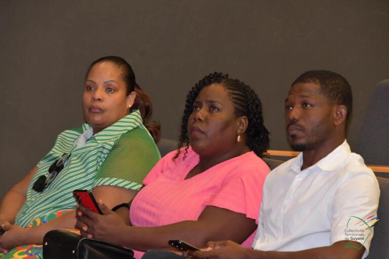 Le portail régional « Formanoo » dédié à l’offre de formation en Guyane prochainement lancé ...