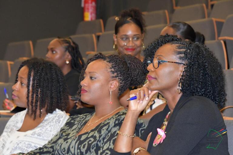 Le portail régional « Formanoo » dédié à l’offre de formation en Guyane prochainement lancé ...